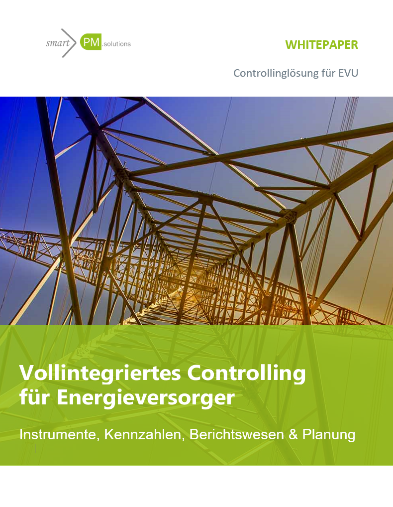 EVU Controlling Whitepaper - smartpm.solutions